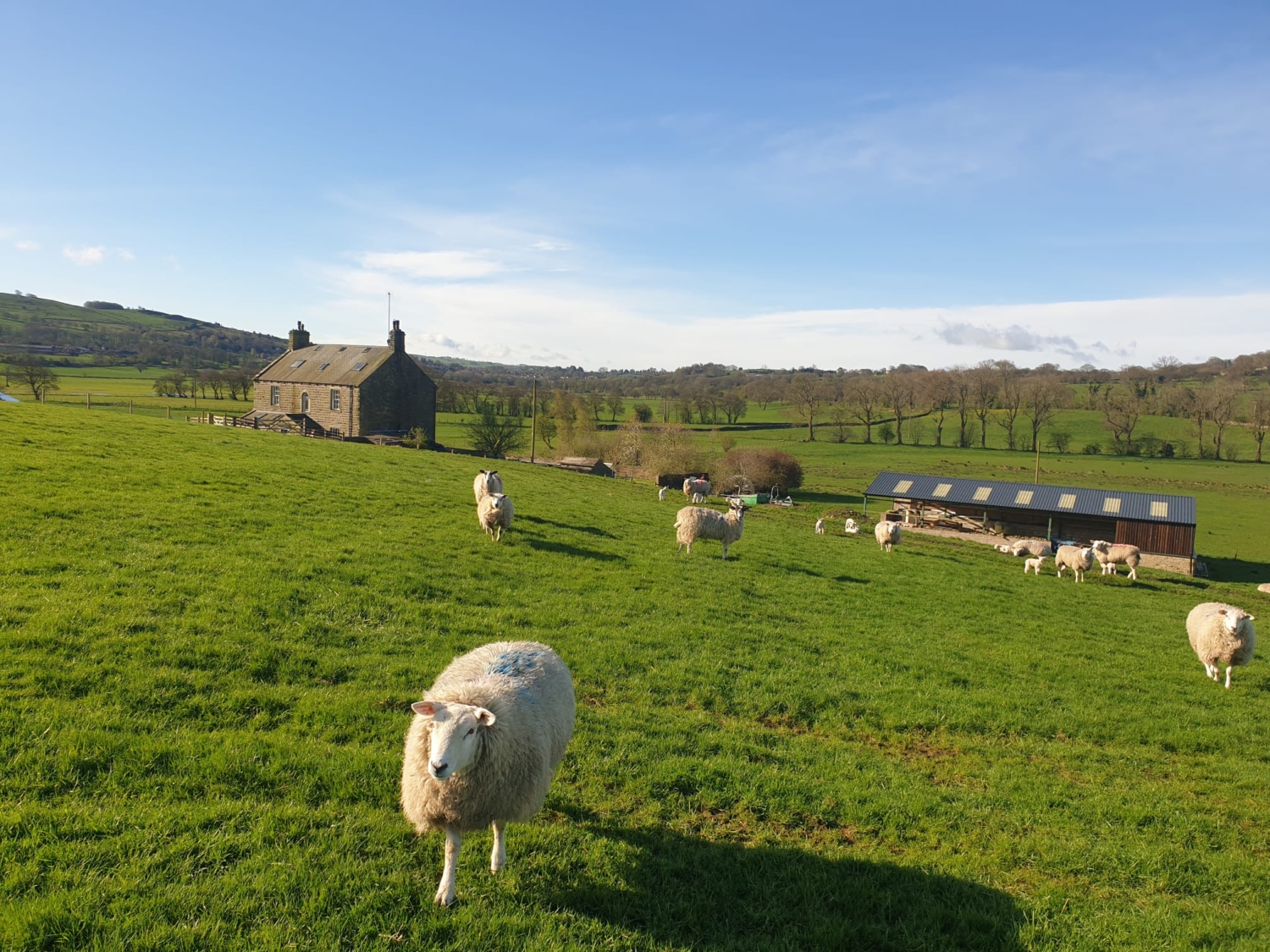 Bashfield Farm, Salterforth, BB18 5TG – WBW Surveyors