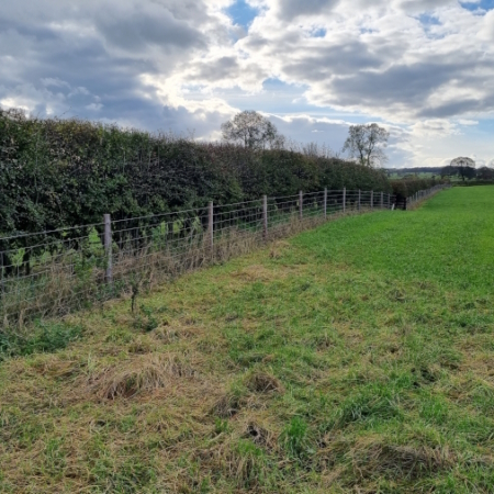 Our Team – WBW Surveyors