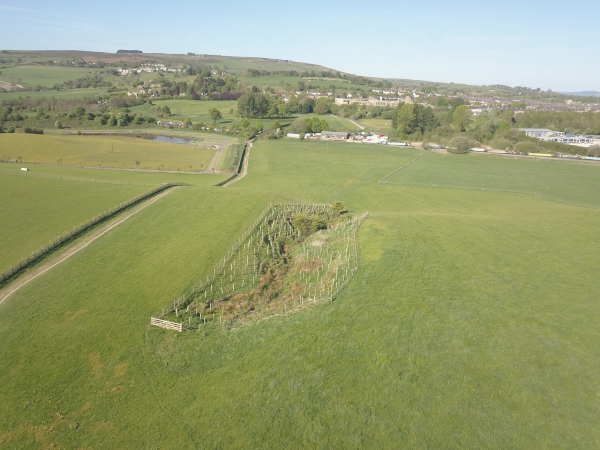 Land known as Bob Preston, Salterforth, BB18 6JD – WBW Surveyors